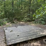 The Long Trail, Vermont - 187 Reviews, Map | AllTrails