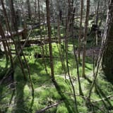 The Long Trail, Vermont - 187 Reviews, Map | AllTrails