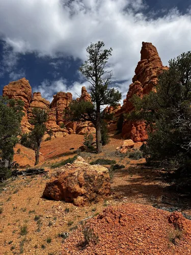 2023 Best Backpacking Trails in Dixie National Forest | AllTrails