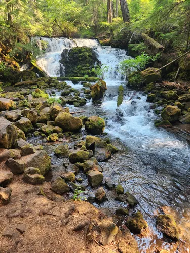 Prospect State Scenic Viewpoint: de beste routes om te wandelen | AllTrails