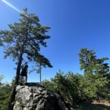 Whitestone Cliffs Trail, Connecticut - 585 Reviews, Map | AllTrails