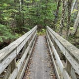 Killington Peak via Bucklin Trail, Vermont - 1,768 Reviews, Map | AllTrails
