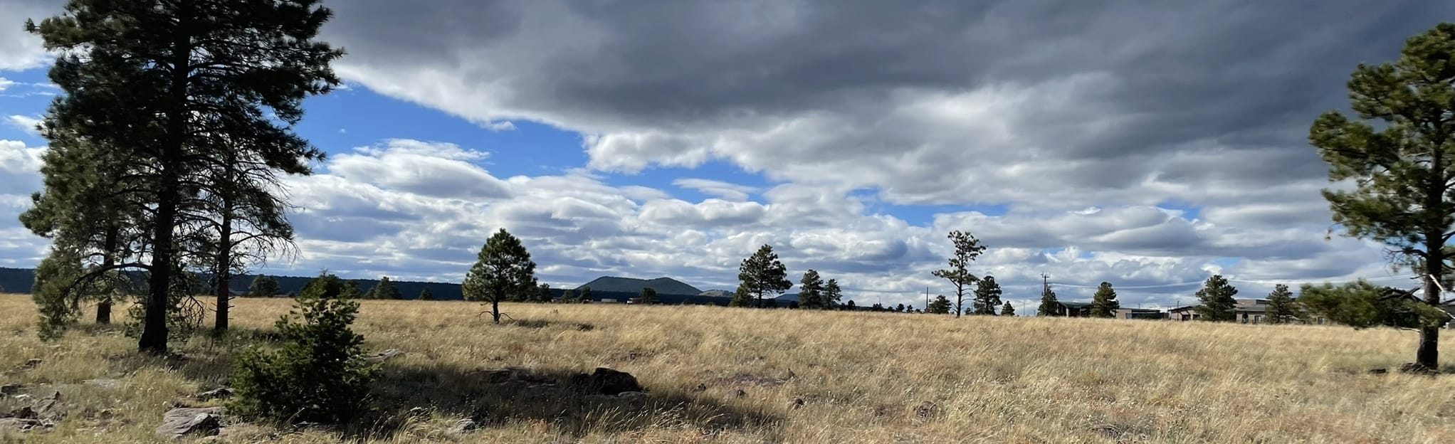 McMillan Mesa via Arizona Trail, Arizona - 71 Reviews, Map | AllTrails