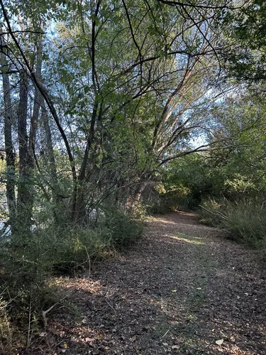 Best Hikes and Trails in Samuell Mesquite Park | AllTrails