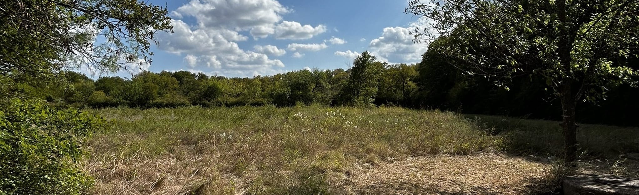 Samuell Farm Trail, Texas - 124 Reviews, Map | AllTrails