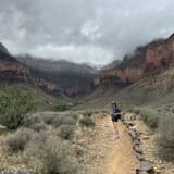 Plateau Point Trail via Bright Angel Trail, Arizona - 2,045 Reviews ...