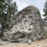 Cheese Rock Trail, Washington - 338 Reviews, Map | AllTrails