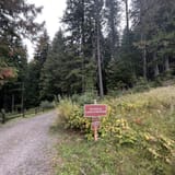 Mount Kit Carson Loop Road, Trail 140 and Trail 110 Loop, Washington ...