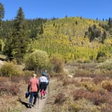 Blue River Trail, Colorado - 1,294 Reviews, Map | AllTrails
