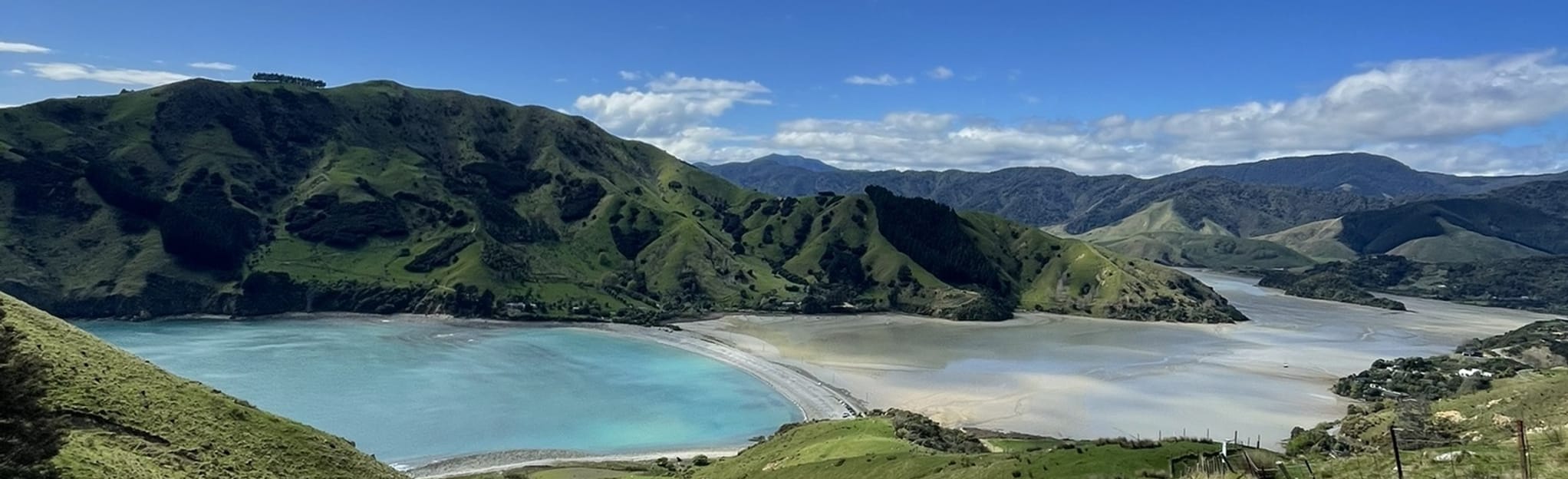 Cable Bay Walkway, Nelson-Tasman, New Zealand - 93 Reviews, Map | AllTrails