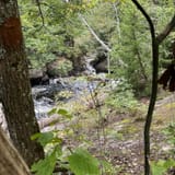 Auger Falls Loop, New York - 632 Reviews, Map | AllTrails