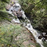 Auger Falls Loop, New York - 632 Reviews, Map | AllTrails