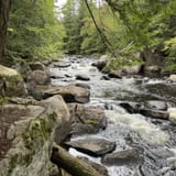 Auger Falls Loop, New York - 632 Reviews, Map | AllTrails