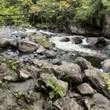 Auger Falls Loop, New York - 632 Reviews, Map | AllTrails