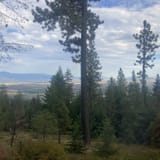 Mount Emily Recreation Area Loop, Oregon - 246 Reviews, Map | AllTrails