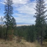 Mount Emily Recreation Area Loop, Oregon - 246 Reviews, Map | AllTrails