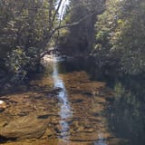 Sam's Knob and Little Sam Loop , North Carolina - 487 Reviews, Map ...