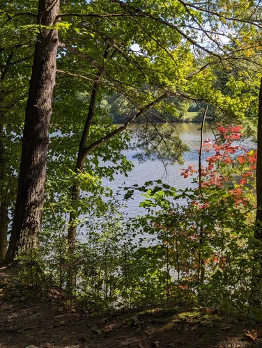 2023 Best Trail Running Trails in Findley State Park | AllTrails