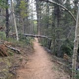 Raspberry Mountain Trail via Ring the Peak Trail, Colorado - 1,750 ...