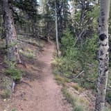 Raspberry Mountain Trail via Ring the Peak Trail, Colorado - 1,750 ...