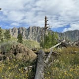 Peak 9380 Big Point, Utah - 17 Reviews, Map | AllTrails