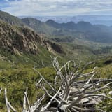 Peak 9380 Big Point, Utah - 17 Reviews, Map | AllTrails