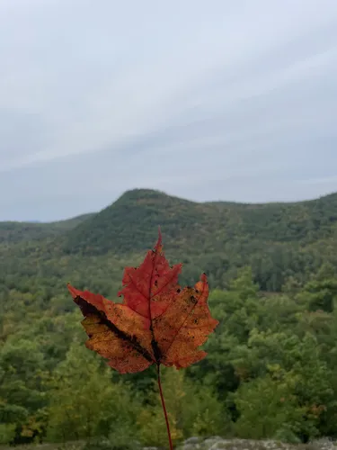 Best Hikes and Trails in Isabel La Roche Godwin Preserve | AllTrails