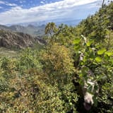 Peak 9380 Big Point, Utah - 17 Reviews, Map | AllTrails