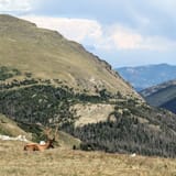 Alpine Ridge Trail, Colorado - 935 Reviews, Map | AllTrails