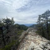 McClellan Butte Trail, Washington - 1,052 Reviews, Map | AllTrails