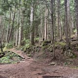 McClellan Butte Trail, Washington - 1,052 Reviews, Map | AllTrails