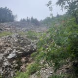 McClellan Butte Trail, Washington - 1,052 Reviews, Map | AllTrails