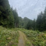 McClellan Butte Trail, Washington - 1,052 Reviews, Map | AllTrails