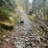 McClellan Butte Trail, Washington - 1,052 Reviews, Map | AllTrails