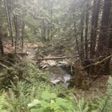 McClellan Butte Trail, Washington - 1,052 Reviews, Map | AllTrails