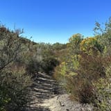 Agua Tibia Full Loop Trail, California - 223 Reviews, Map | AllTrails