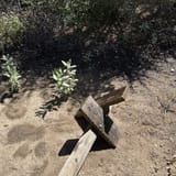 Agua Tibia Full Loop Trail, California - 223 Reviews, Map | AllTrails