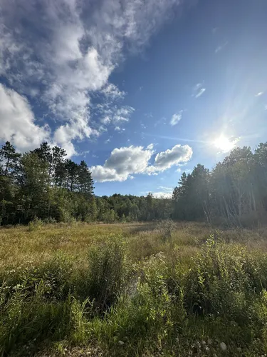 Best Hikes and Trails in Debar Mountain Wild Forest | AllTrails