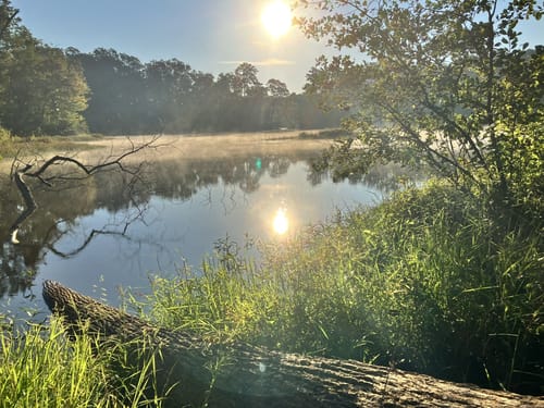 Best Hikes and Trails in Manning Mill Park | AllTrails