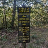 Walls of Jericho Trail Head, Tennessee - 248 Reviews, Map | AllTrails