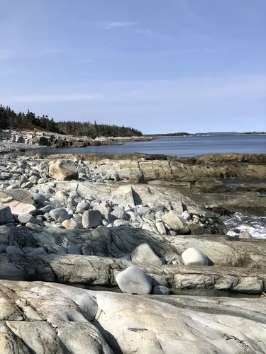 2023 Best Beach Trails in Taylor Head Provincial Park | AllTrails