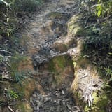 Mount Ishikawa Loop, Okinawa, Japan - 216 Reviews, Map | AllTrails