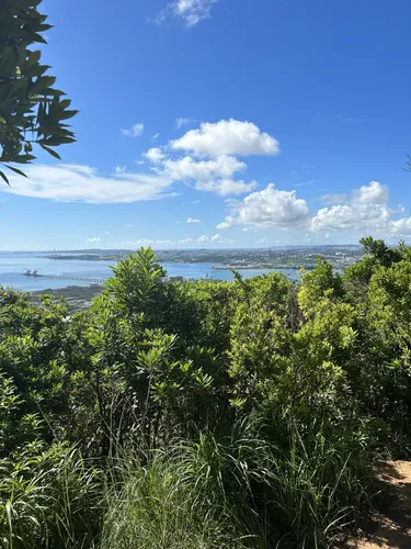 Melhores caminhadas e trilhas em Uruma Shiminnomori Park | AllTrails