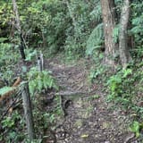 Mount Ishikawa Loop, Okinawa, Japan - 216 Reviews, Map | AllTrails