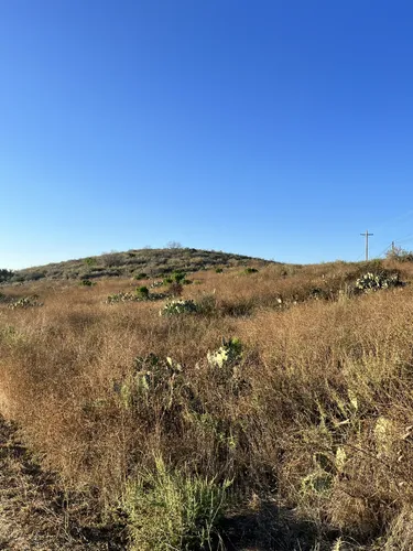 Best Hikes and Trails in Camp Pendleton | AllTrails