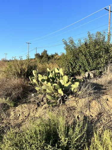 Best Hikes and Trails in Camp Pendleton | AllTrails