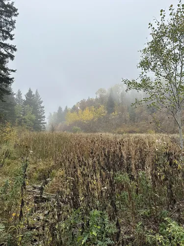 Best Hikes and Trails in Onanole | AllTrails