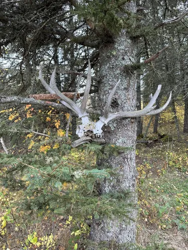 Best Hikes and Trails in Onanole | AllTrails