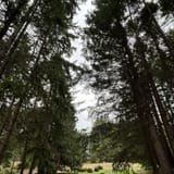 Bainbridge Island Waterfront Trail, Washington - 90 Reviews, Map ...