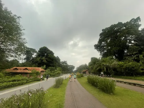 Best Hikes and Trails in Clementi Forest | AllTrails